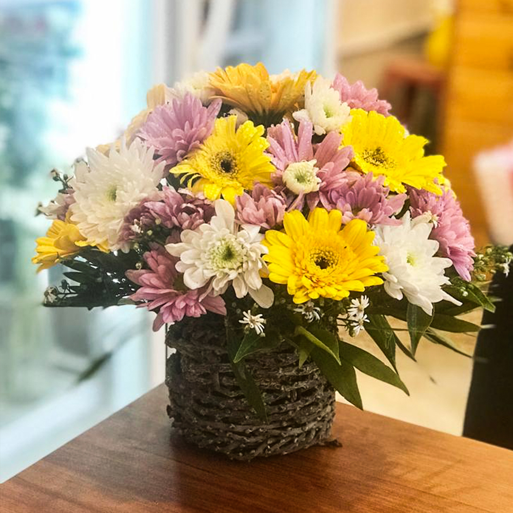 Mini Cryshanthimum and Jebra Mixed Basket, Lakwimana